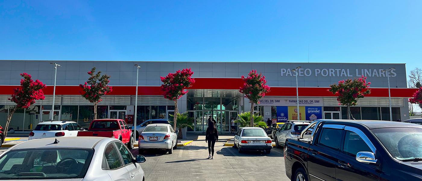 Inicio - Paseo Portal Linares